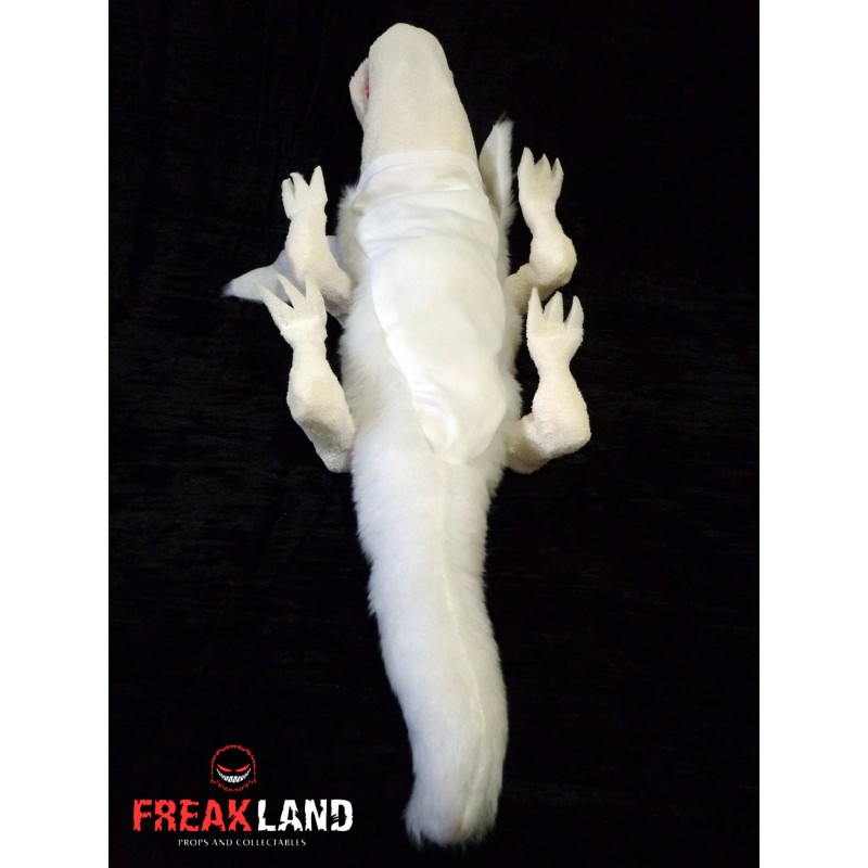 Falkor the luckdragon